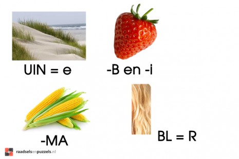 Dit is een wereld rebus! - Raadsels & Puzzels | Fun op het internet ...